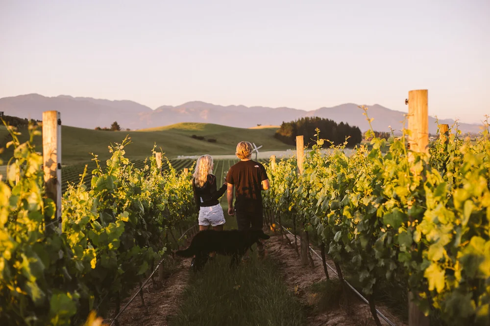 Wine — Tiraki Wines