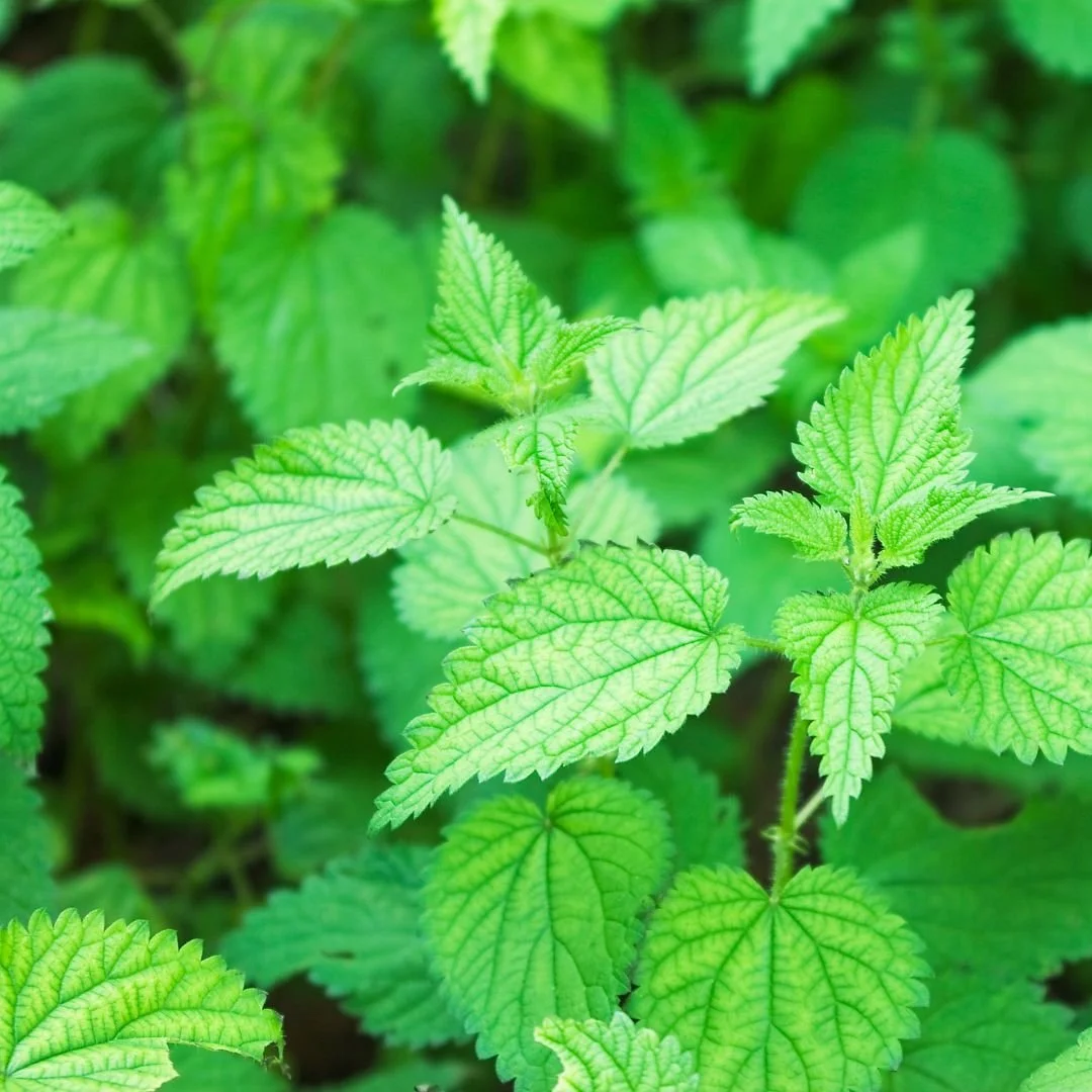 La ugresset fortelle deg om jorden din - mariaberghestad.no