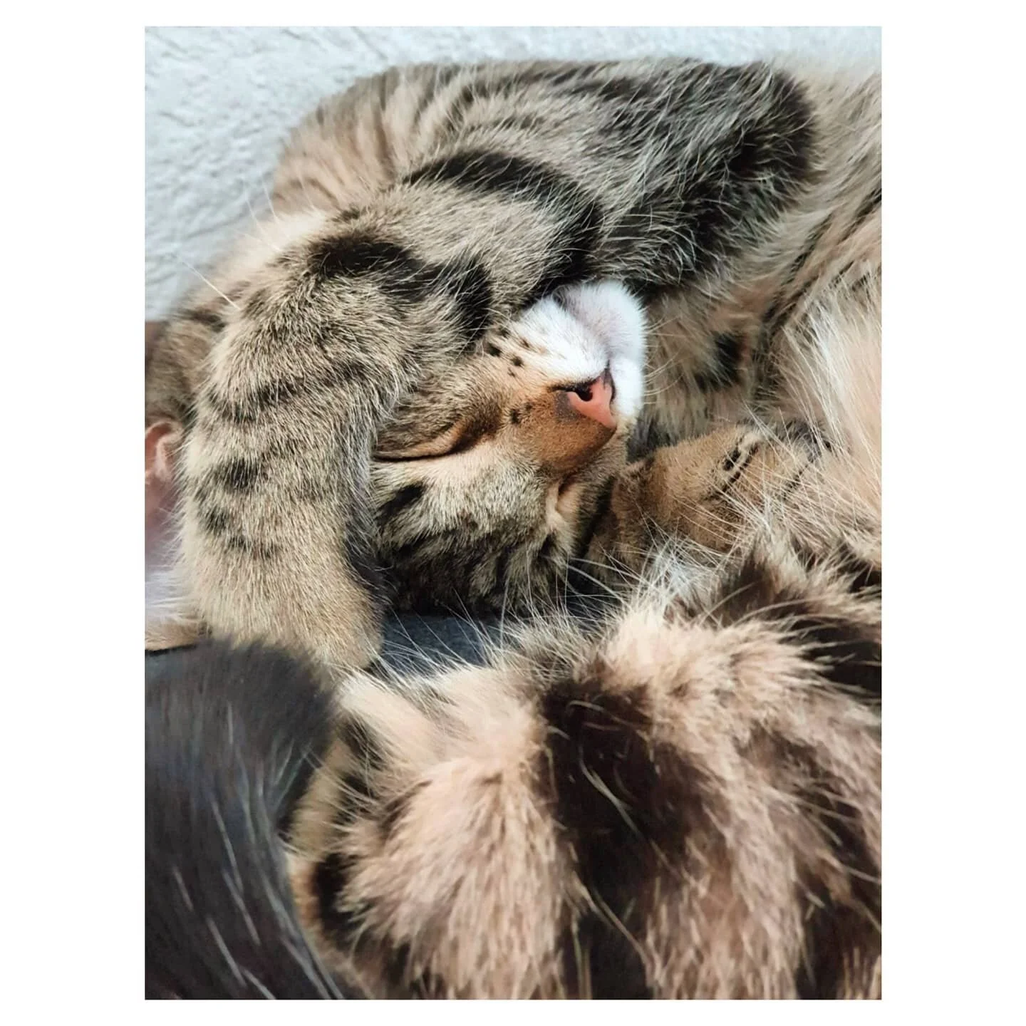 Yoga Teacher and Educator — Jessica Rabone Yoga