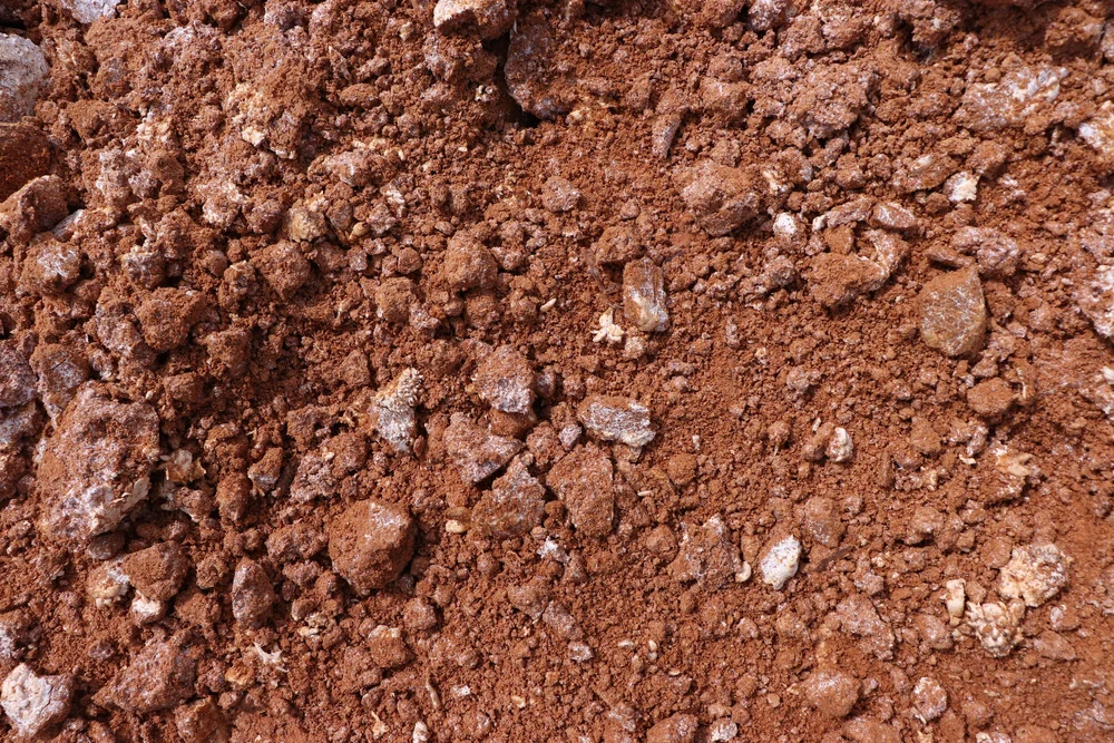 BYGAARD — En farm af containere