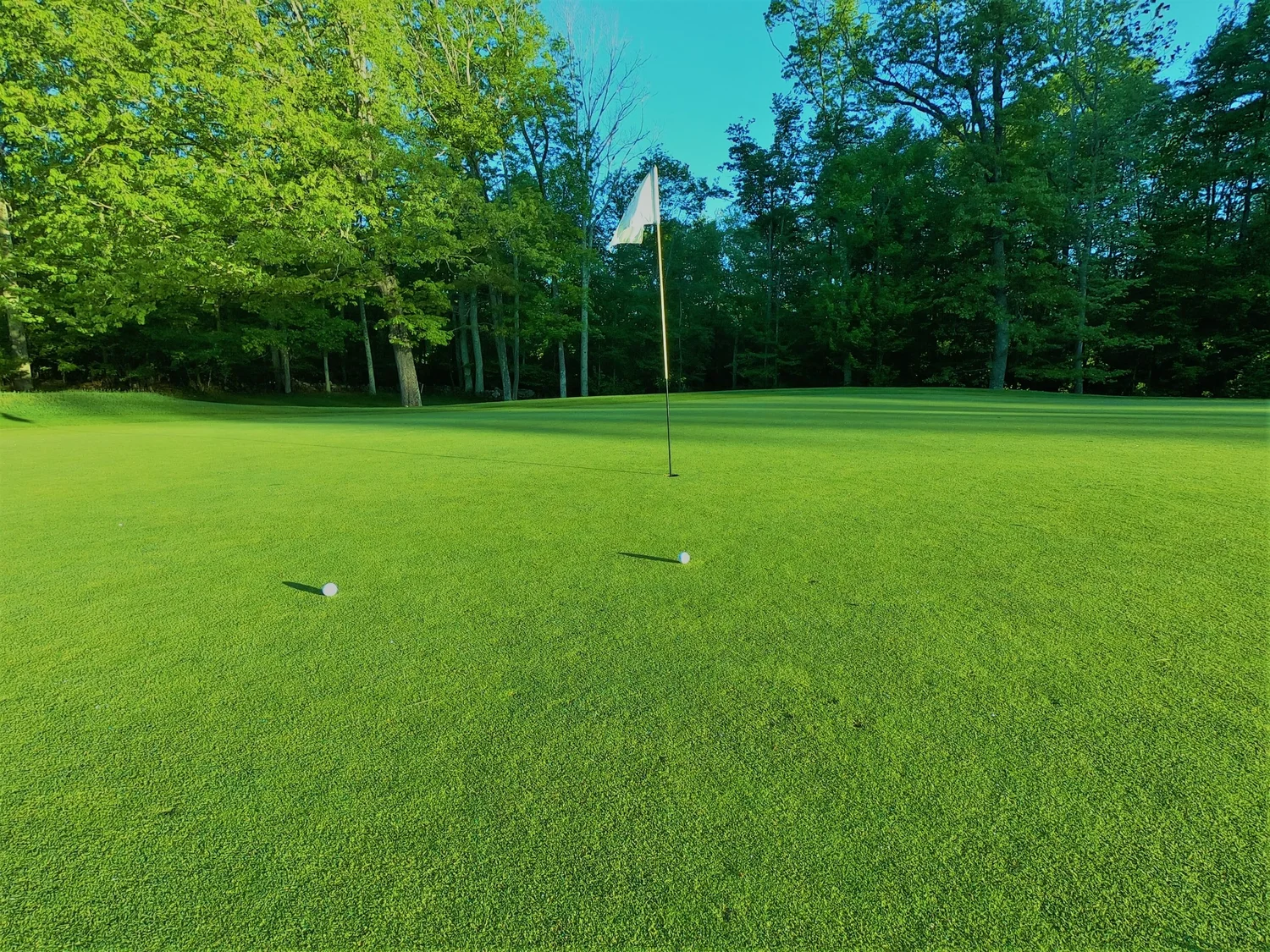 Where To Find Me | Reece Francis Golf | North Weald