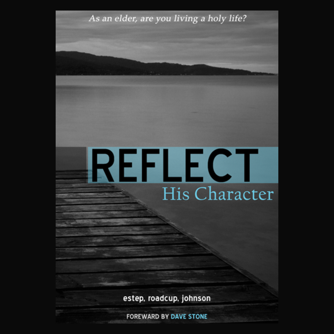 An Elder’s Playbook, 2nd Edition — e2: effective elders