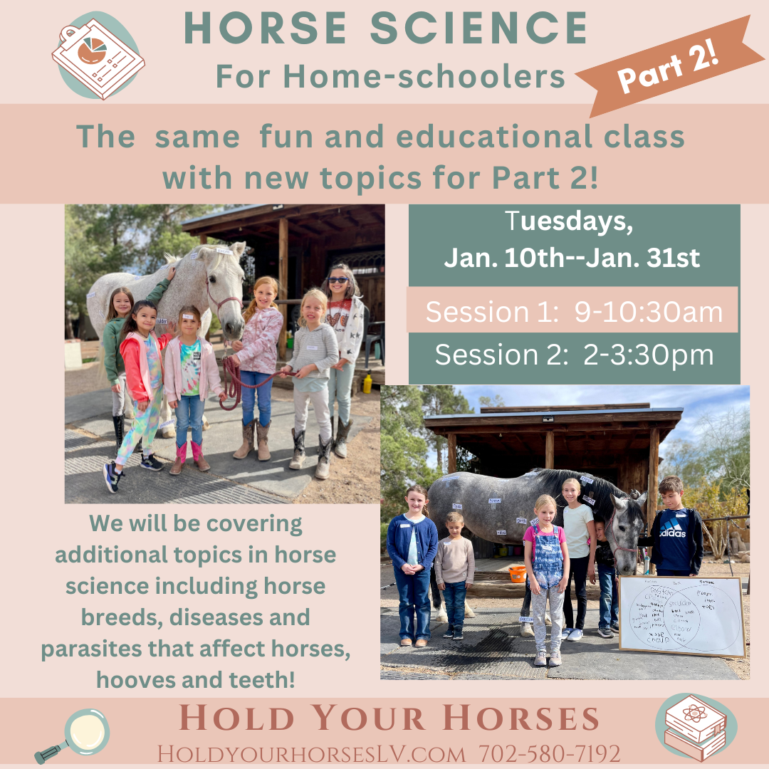 Events — Hold Your Horses Las Vegas