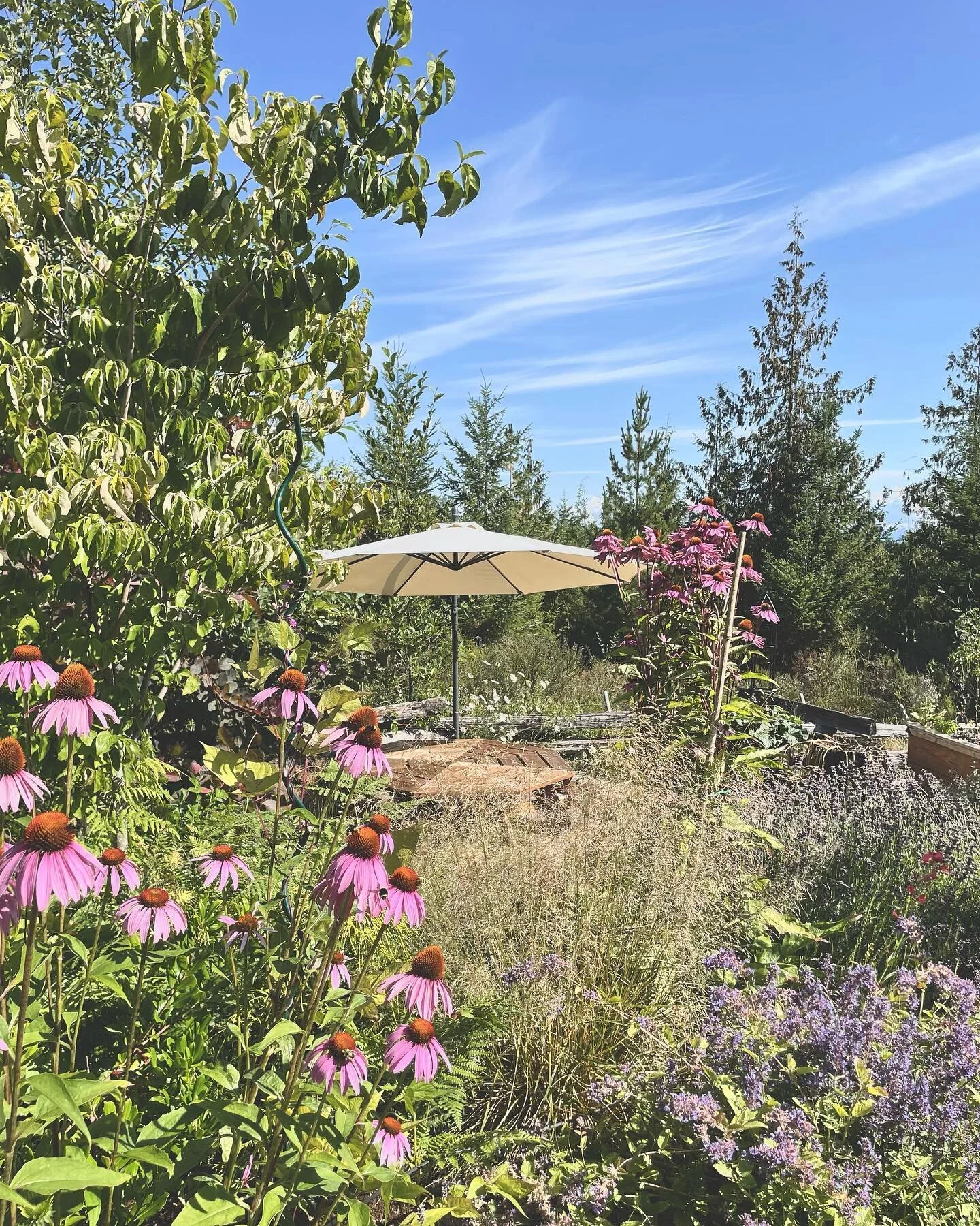 Jade Coast Design - Ecological Landscape Services