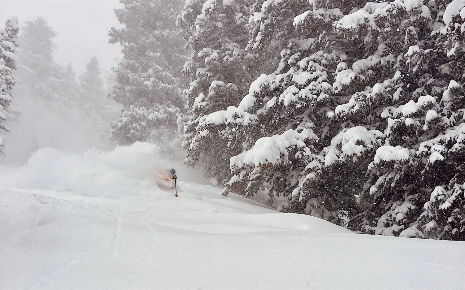 Powder Magazine Passing Through: Snowbird — Kapowder Ink