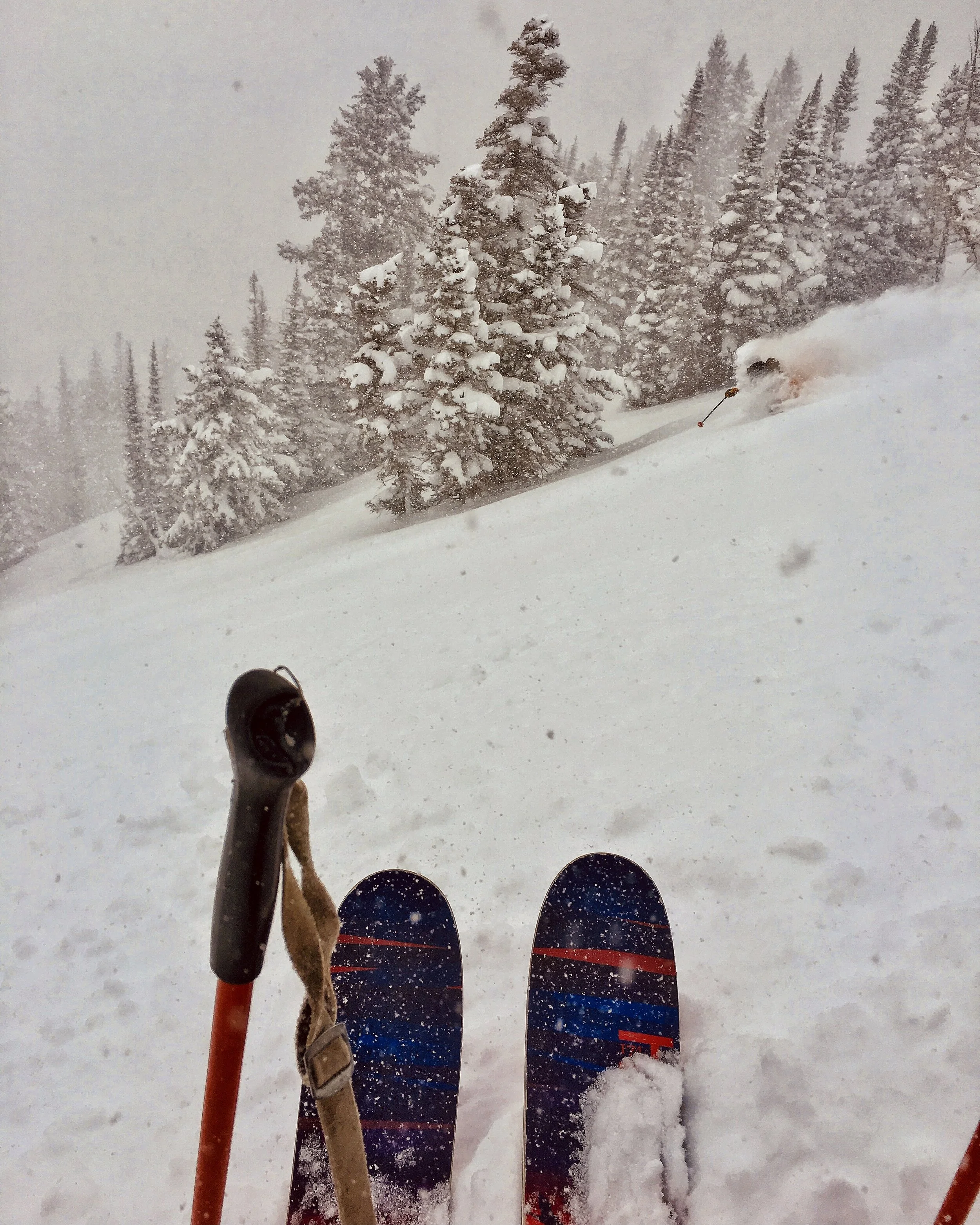 Powder Magazine Passing Through: Snowbird — Kapowder Ink