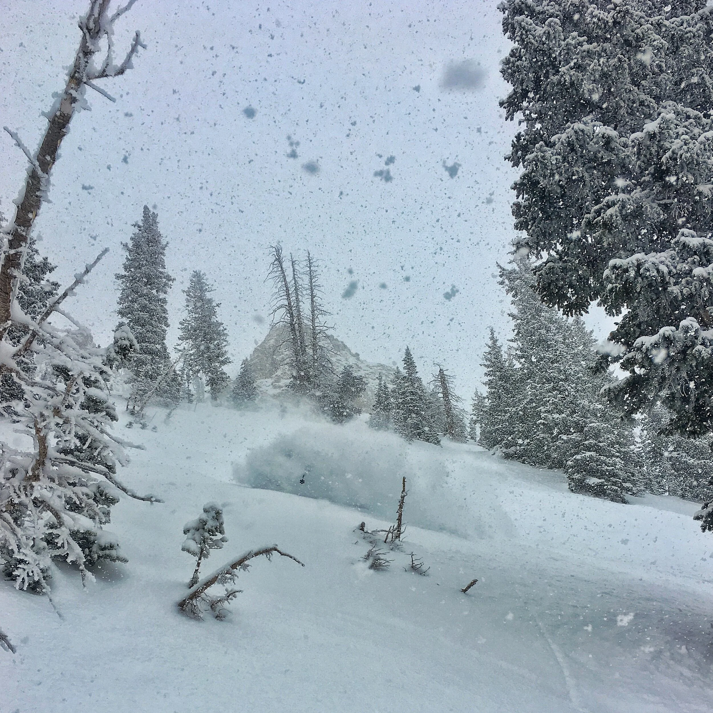 Snowbird Resort Tips & Tricks — Kapowder Ink