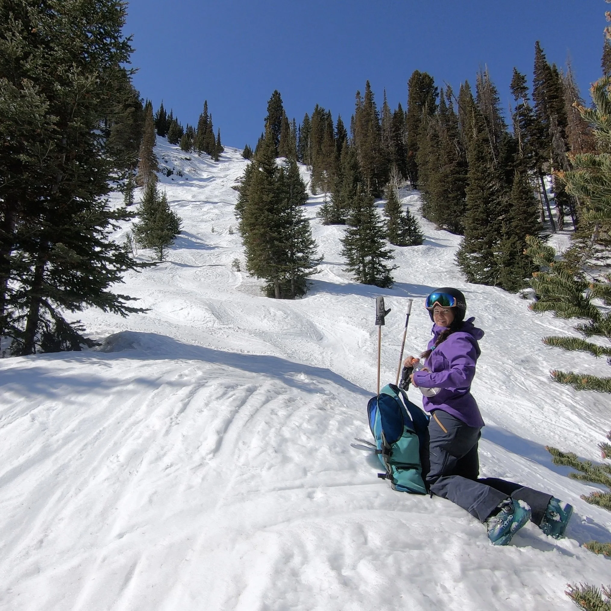 Watercolor painting of Alta Ski Area's quintessential run, Alf's High ...