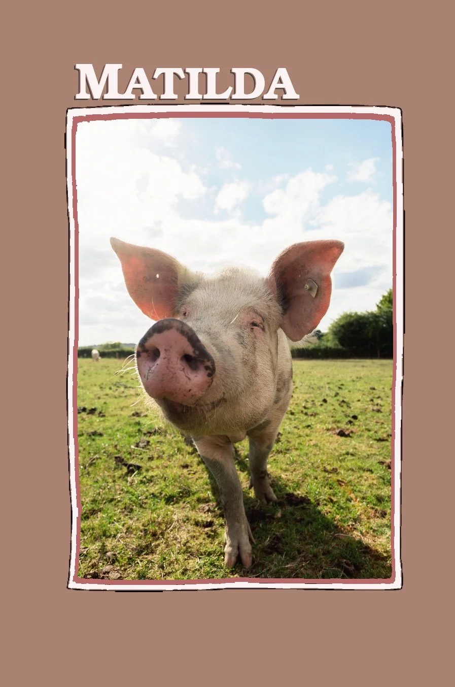 Shop — Surge Sanctuary | Vegan Animal Sanctuary