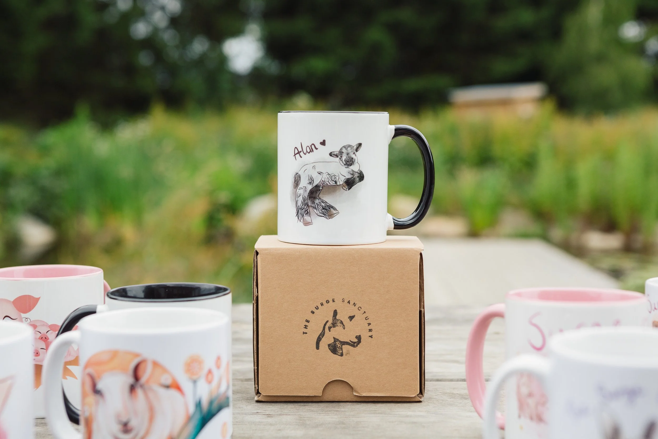 Sponsor Packs — Surge Sanctuary | Vegan Animal Sanctuary