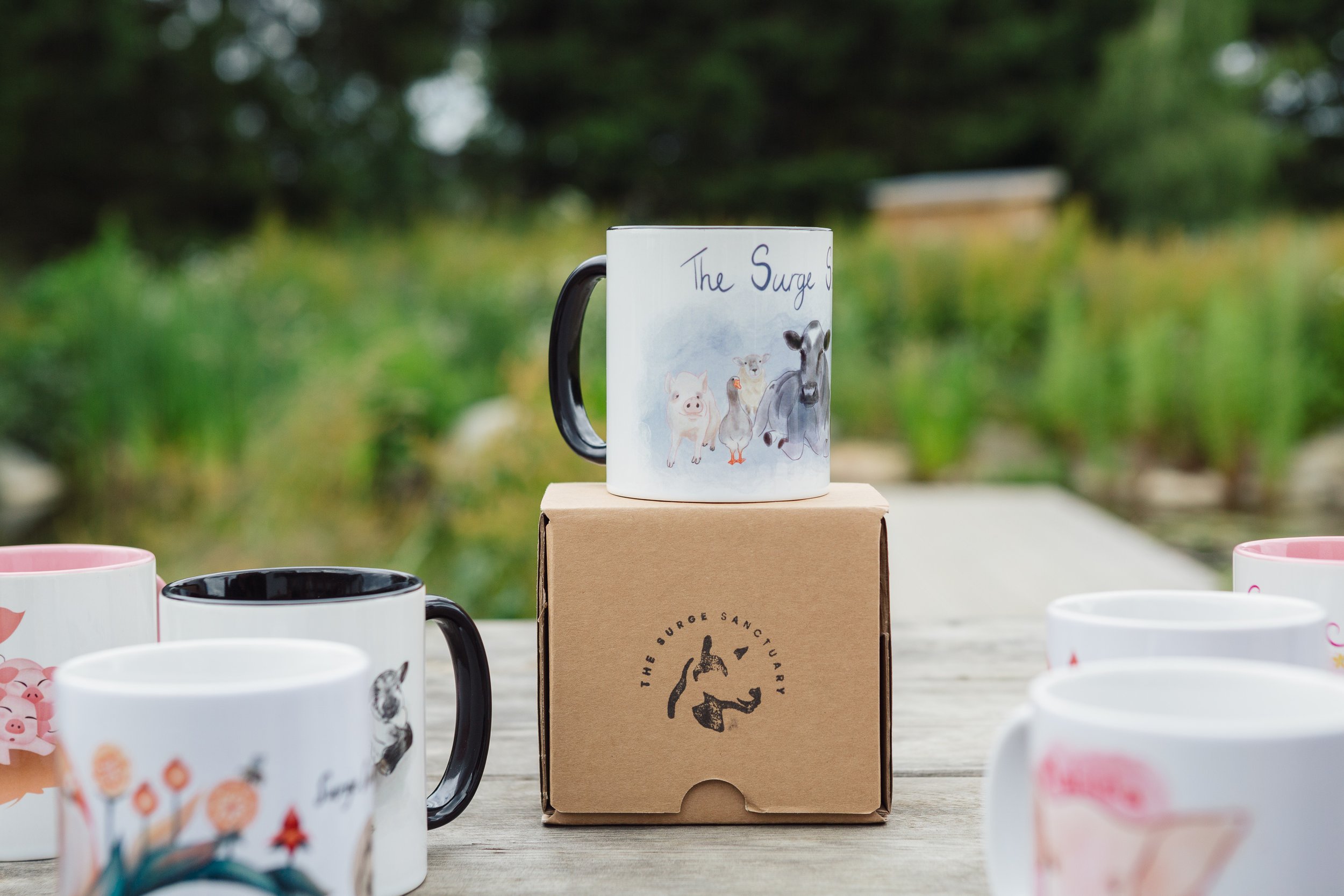Sponsor Packs — Surge Sanctuary | Vegan Animal Sanctuary