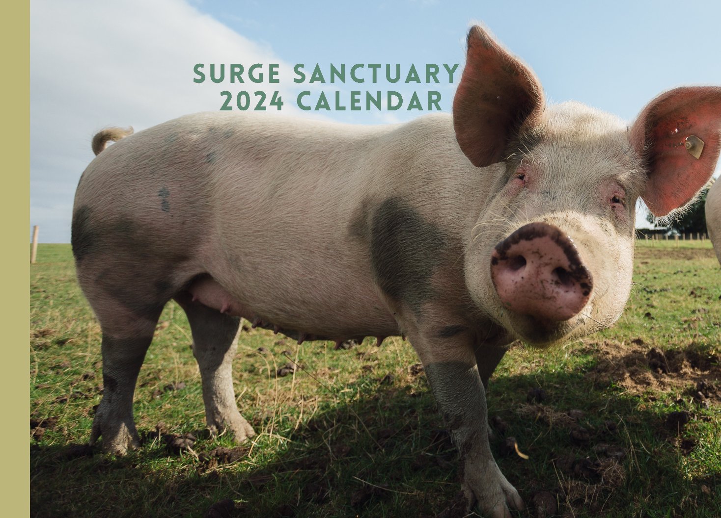 Shop — Surge Sanctuary | Vegan Animal Sanctuary
