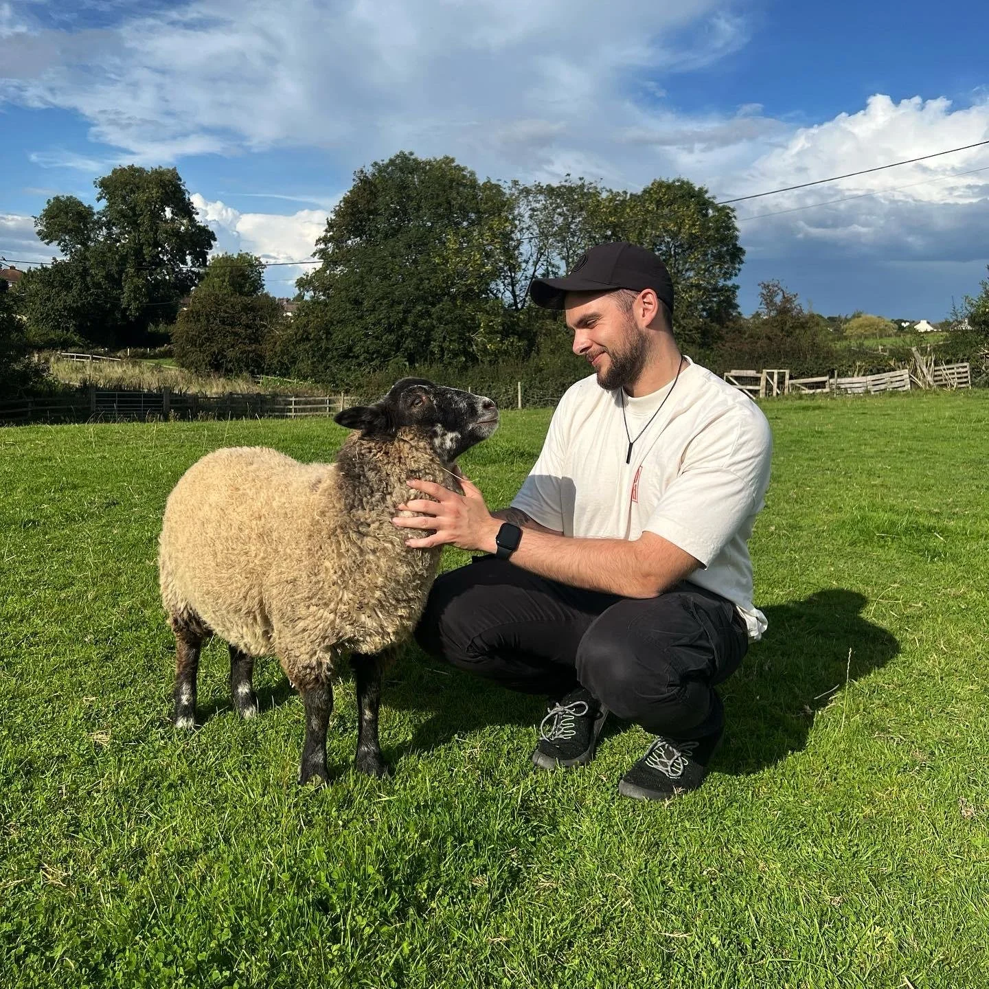 Shop — Surge Sanctuary | Vegan Animal Sanctuary