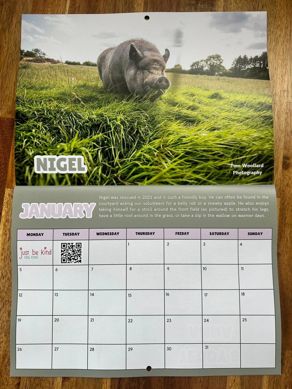 Shop — Surge Sanctuary | Vegan Animal Sanctuary