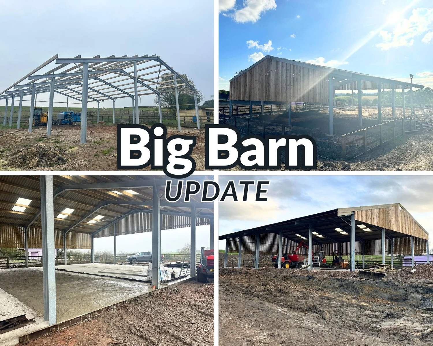 Construction Begins on Our New Sanctuary Barn — Surge Sanctuary | Vegan ...