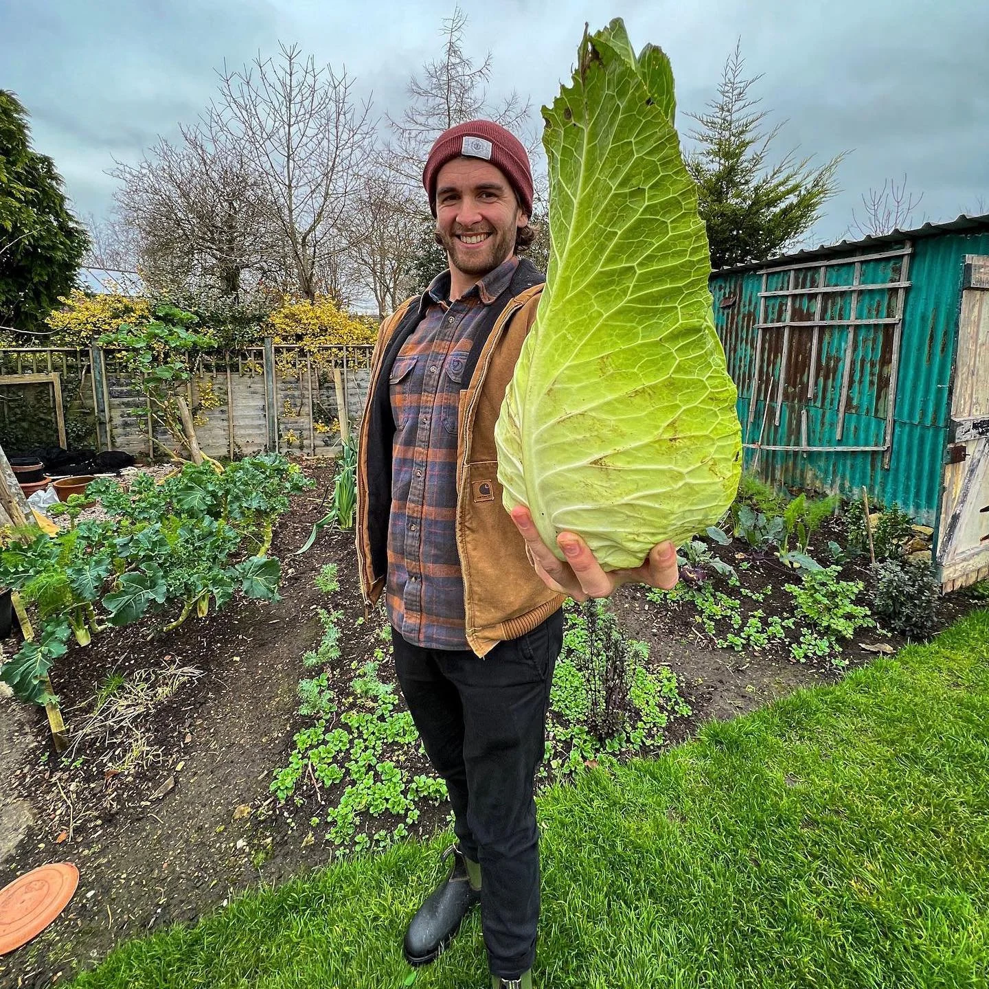 ‘Getting your power back’: an interview with Jack’s Patch — Surge ...