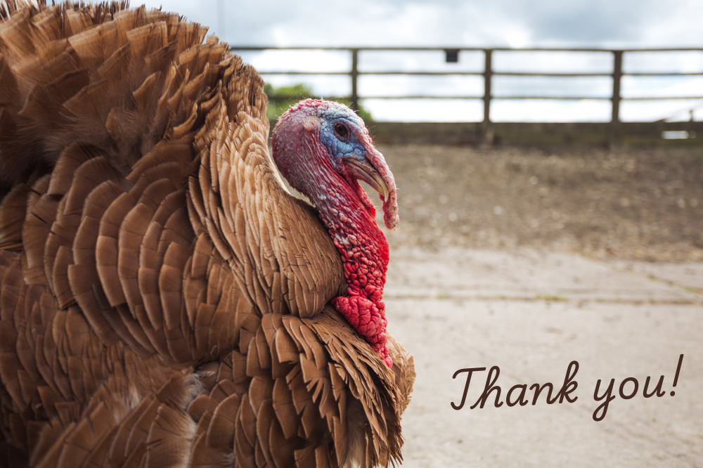 Vote for us for FREE in the Discount Promo Codes Charity Poll this ...