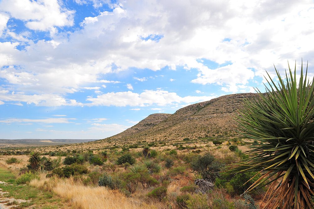 Contact — Longfellow Ranches