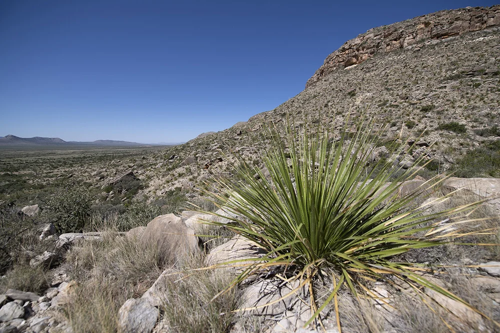 Lodge — Longfellow Ranches