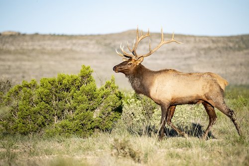 About — Longfellow Ranches