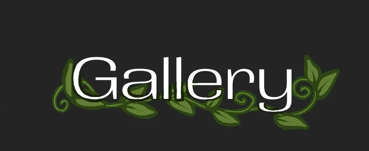 Gallery — Rozzi Roomian