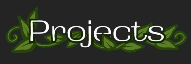 Projects — Rozzi Roomian