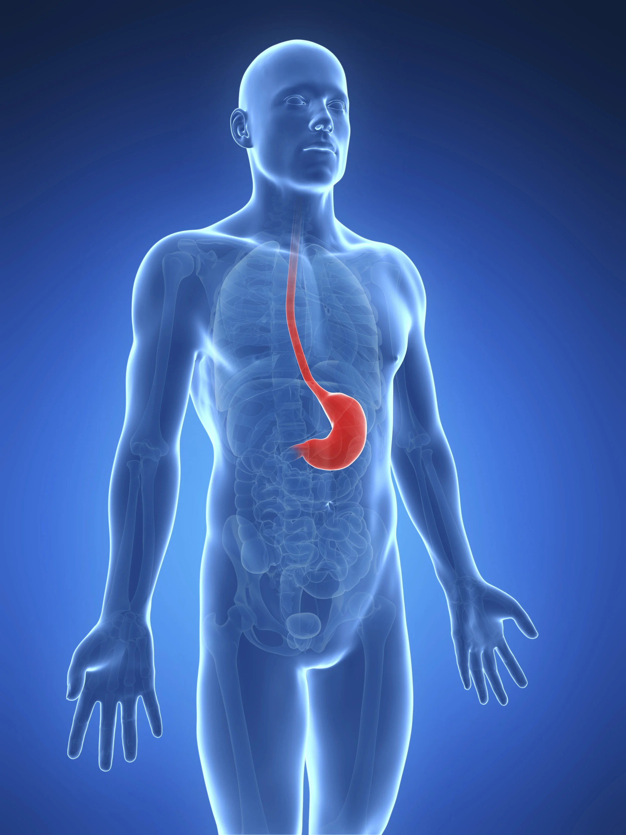 GIH Access Endoscopy