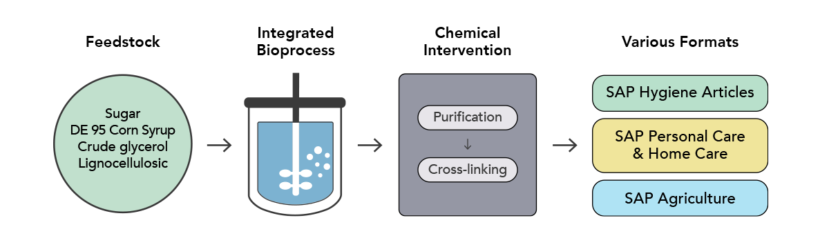 Insight to Our Strategy: Why direct BAYSE™ to the Hygiene Industry ...