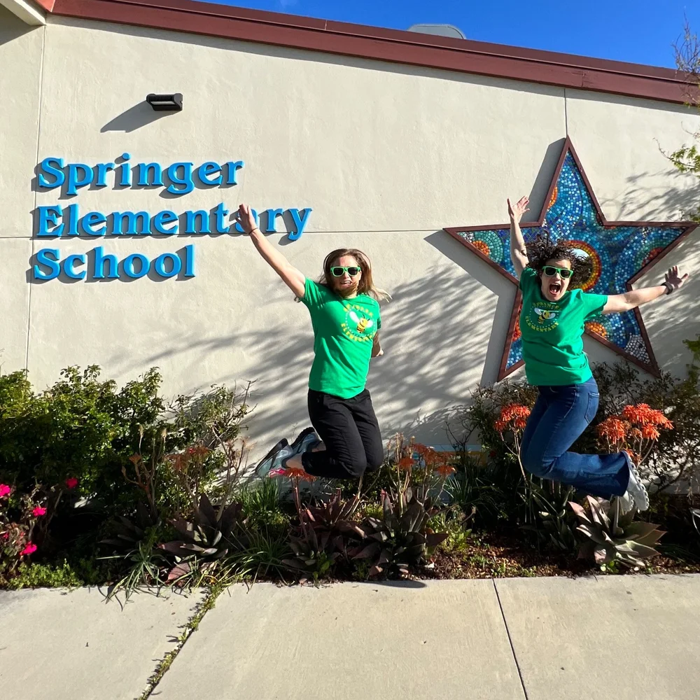 Springer Elementary School