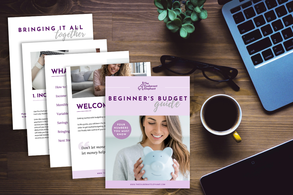 Free Beginner's Budget Guide