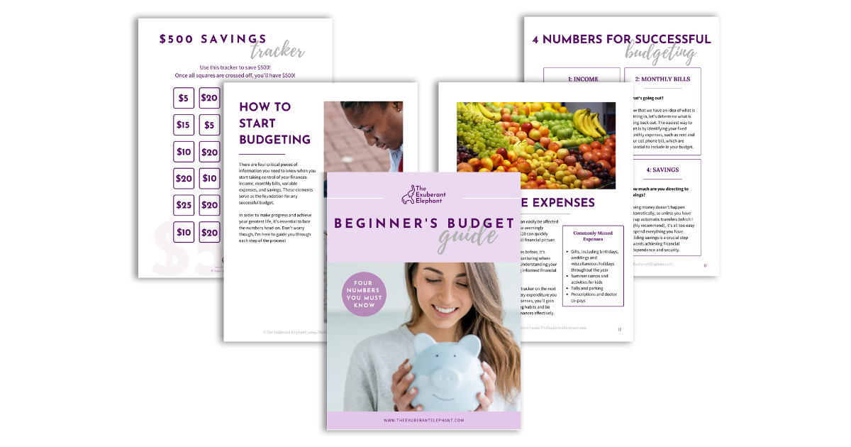 Free Beginner's Budget Guide