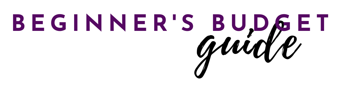 Free Beginner's Budget Guide