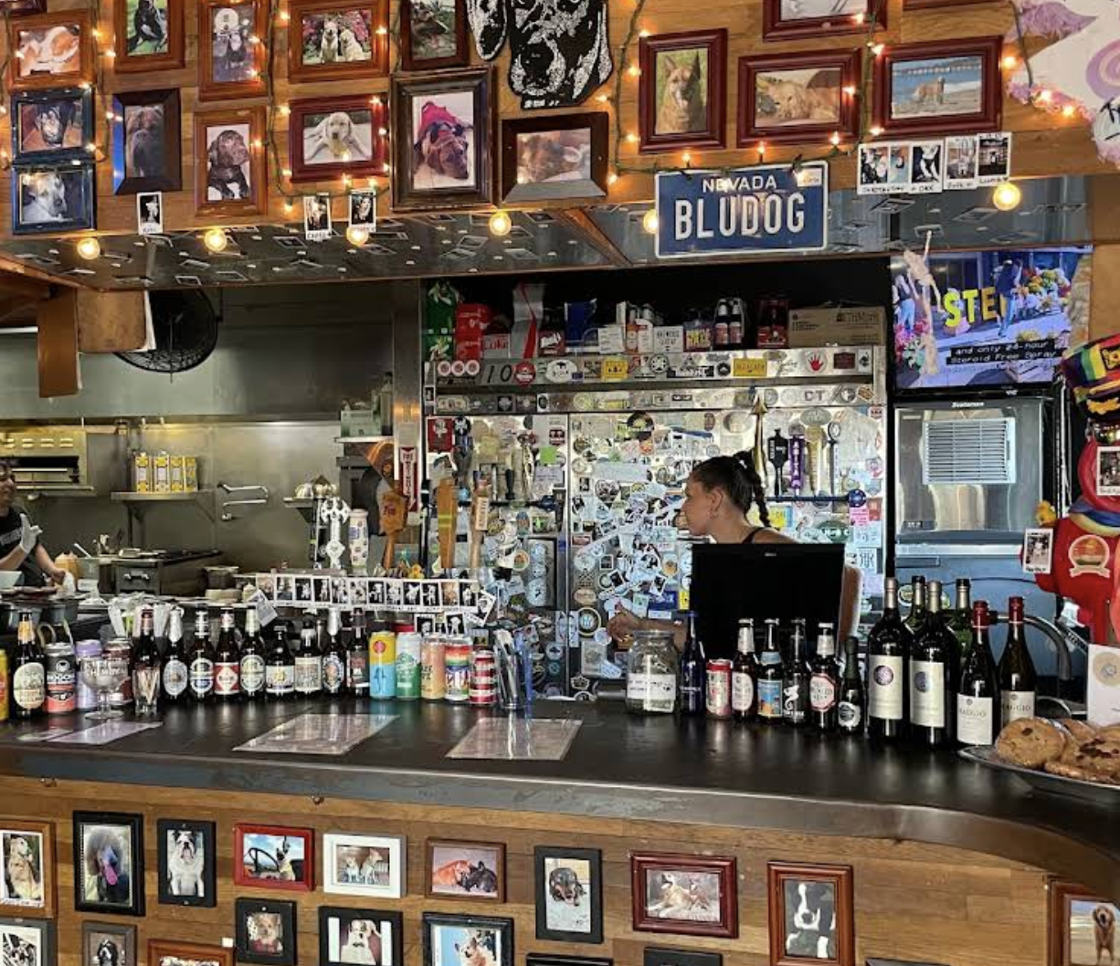 Blue Dog Beer Tavern