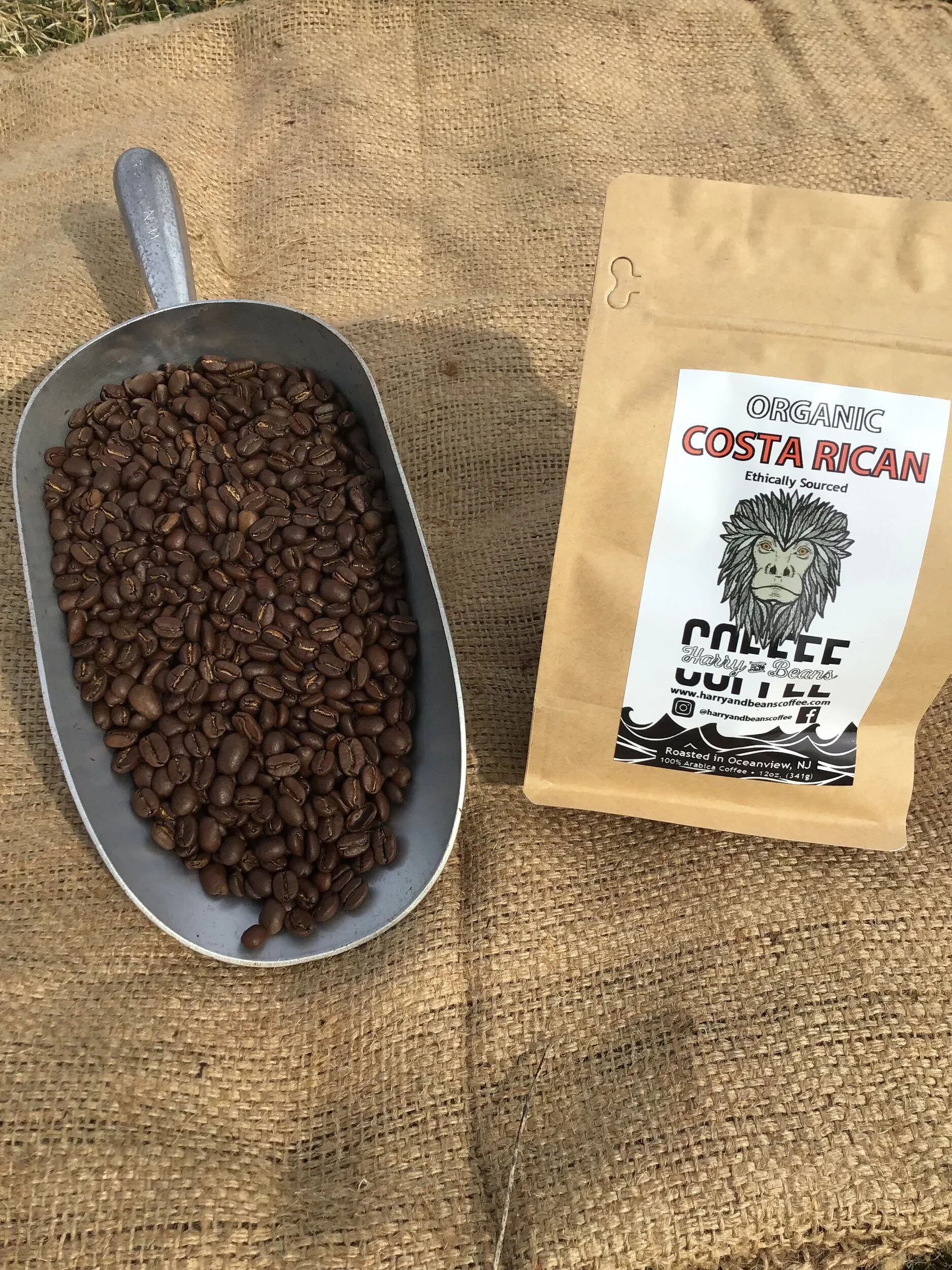 Shop — Harry & Beans Coffee Roasters