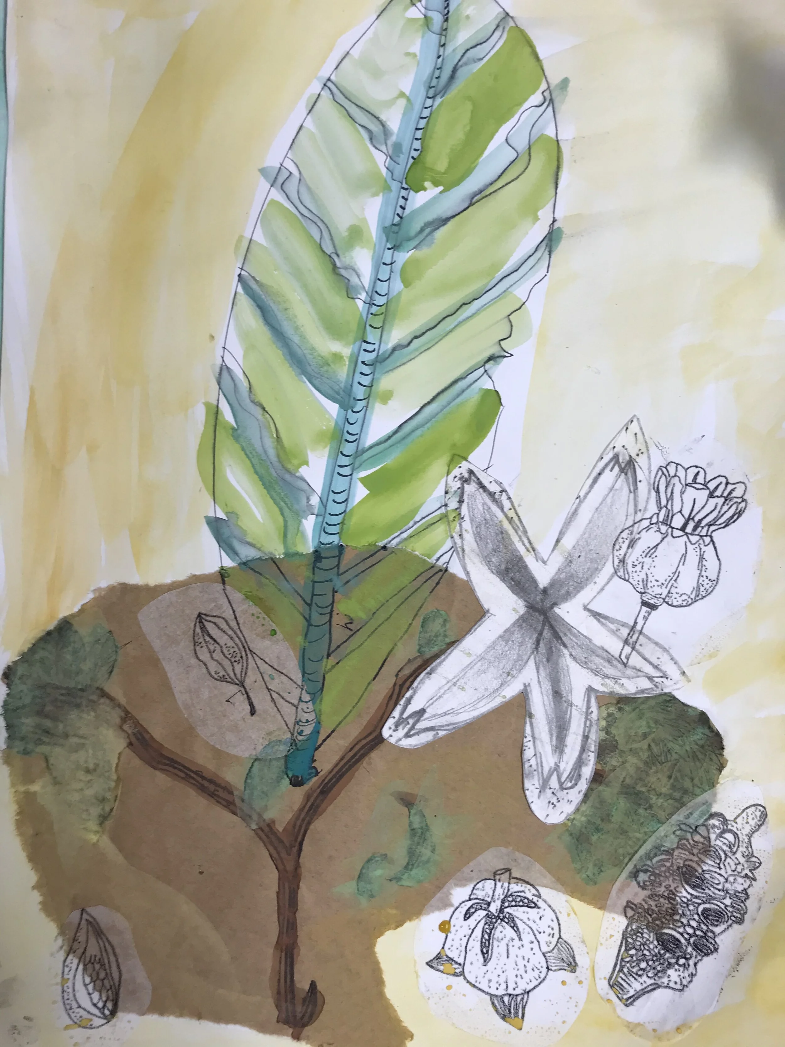 Art Start Studio Australia about our classes and art teachers and art ...
