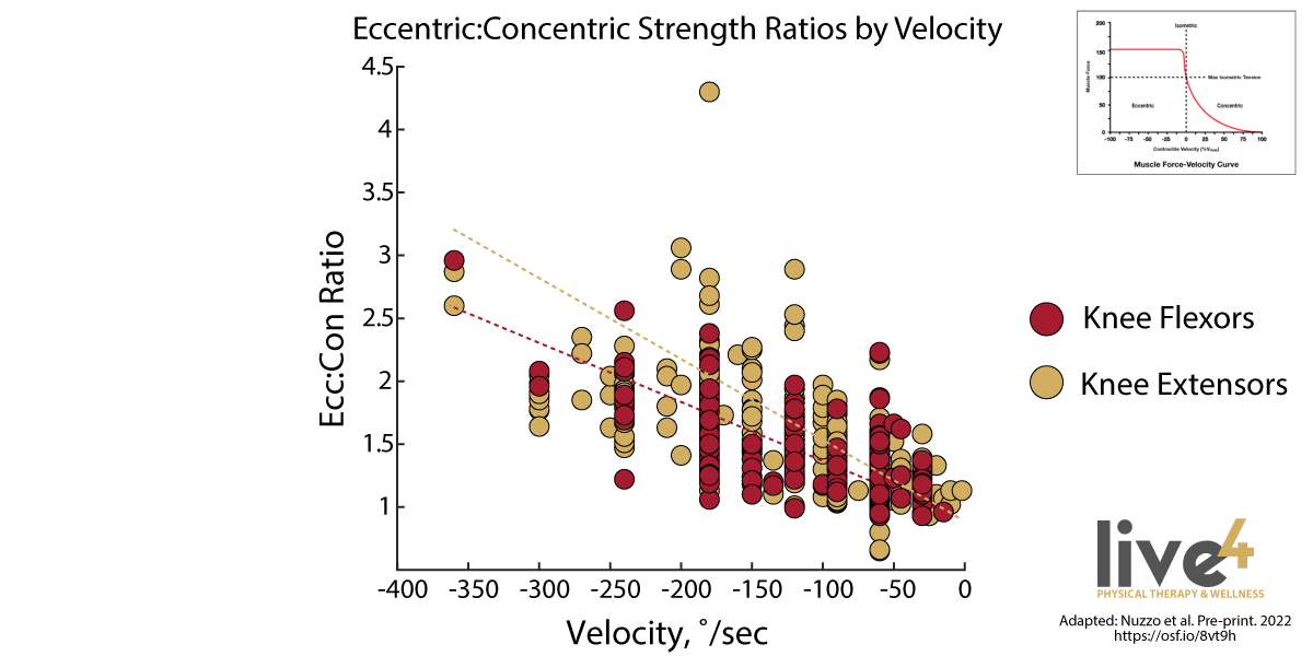 Eccentric vs Concentric: How much stronger are we? — LIVE4 Sports ...