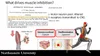 Rewiring Recovery: Treating Muscle Inhibition After Knee Injury — LIVE4 ...
