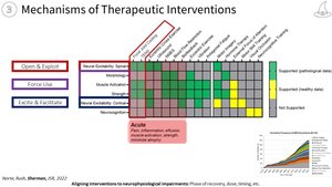 Rewiring Recovery: Treating Muscle Inhibition After Knee Injury — LIVE4 ...