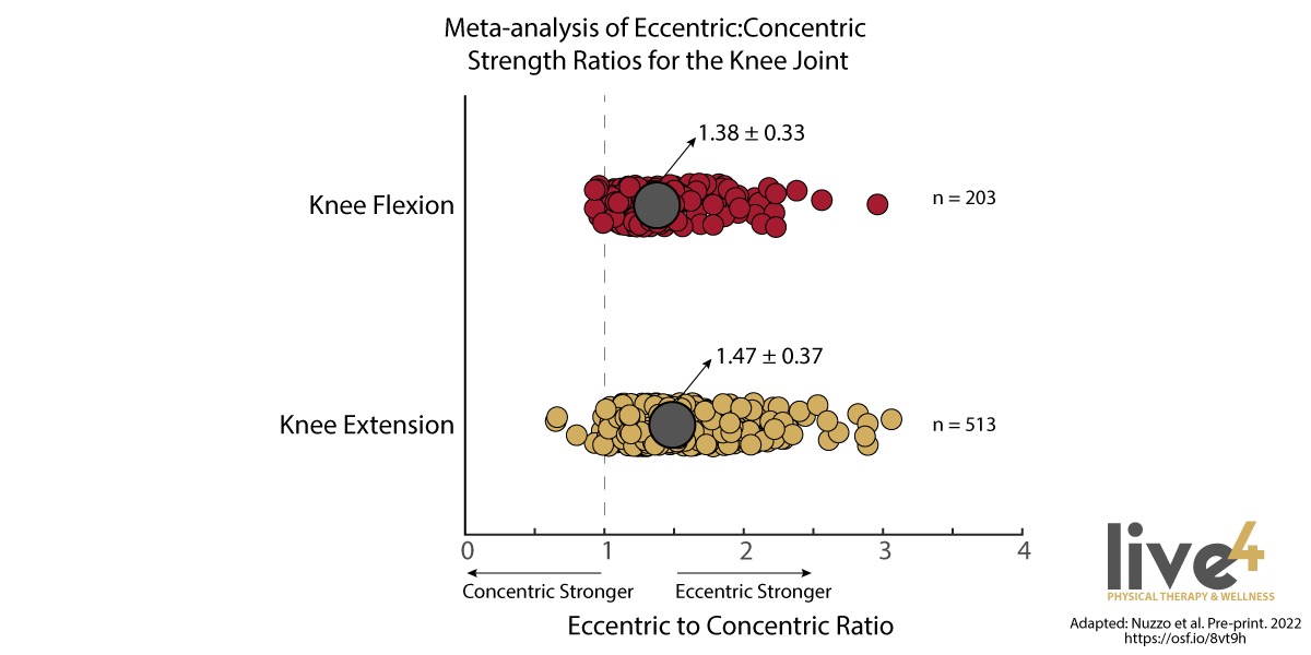 Eccentric vs Concentric: How much stronger are we? — LIVE4 Sports ...