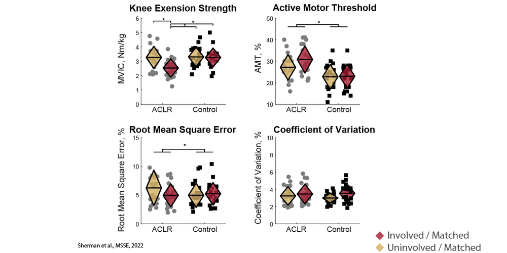 Quadriceps Corticomuscular Coherence after Anterior Cruciate Ligament ...