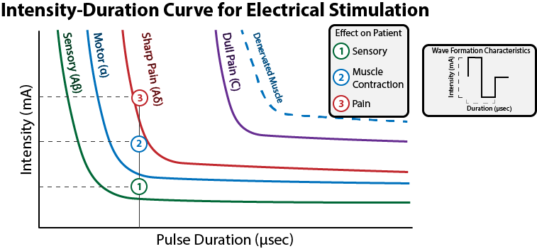 NMES User Guide ACL Injury — LIVE4 Sports Physical Therapy & Wellness ...