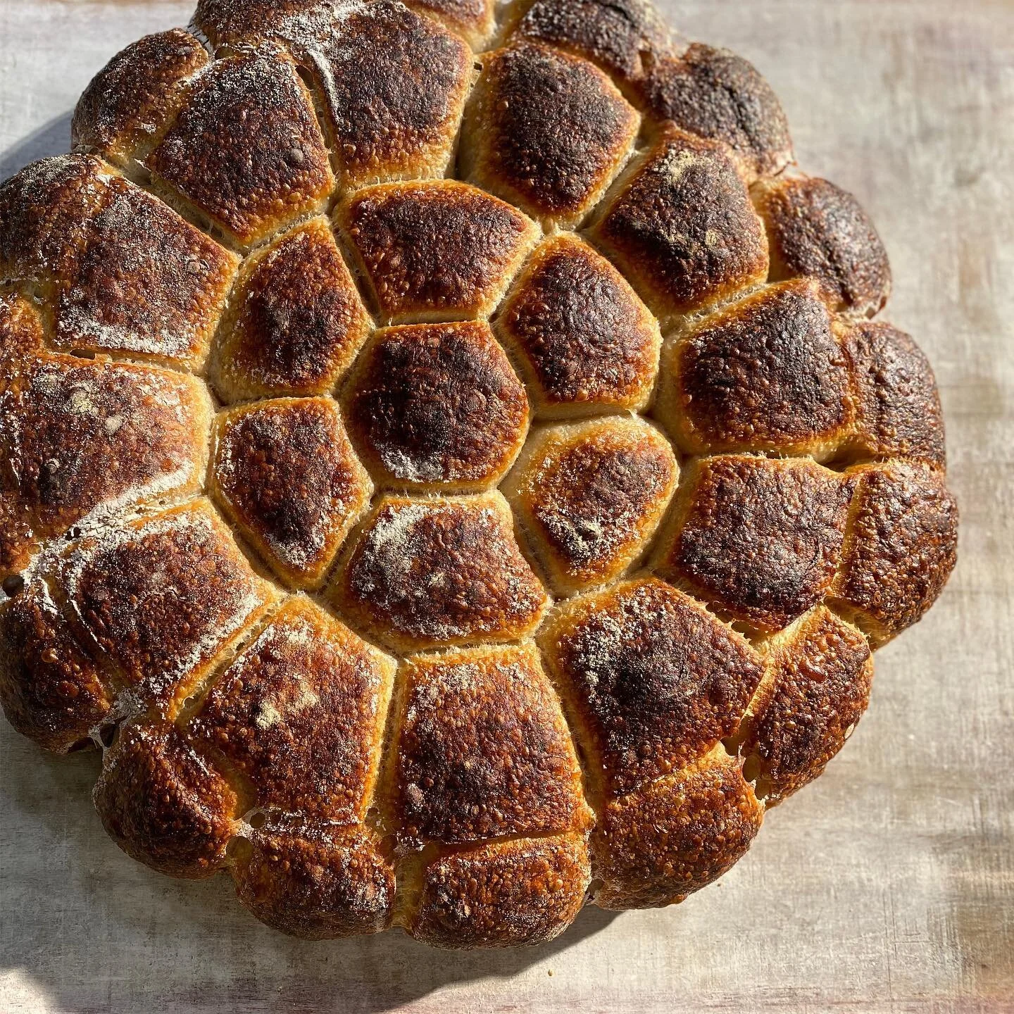 Martha's Vineyard Pop-Up — Iggy's