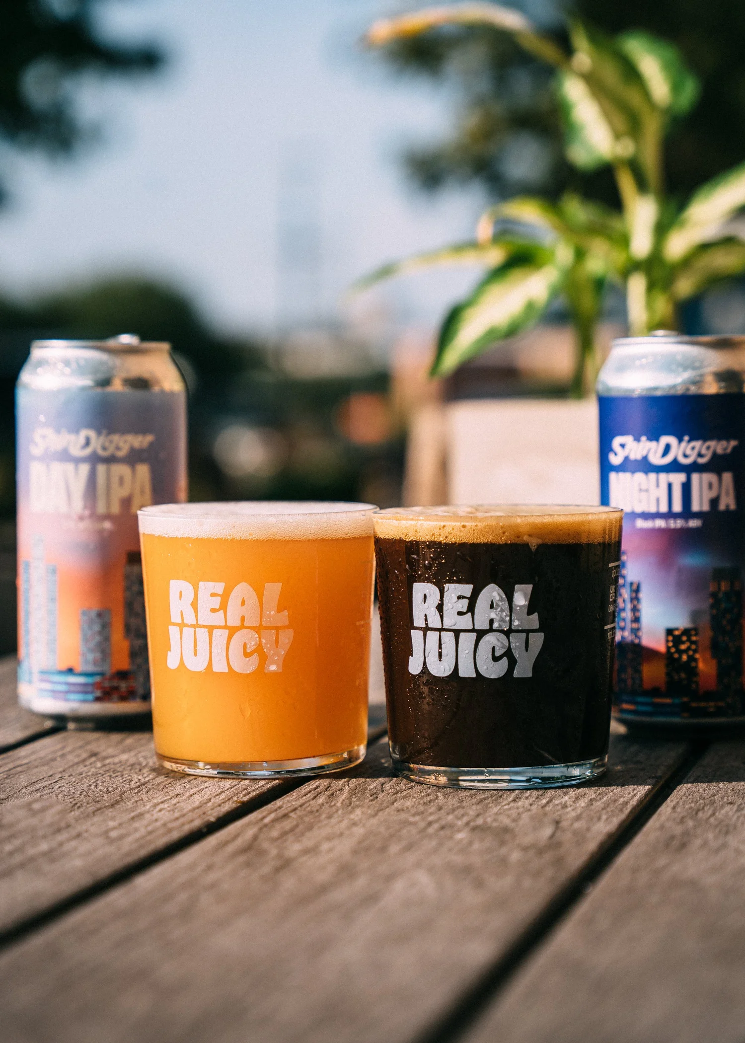 Special Range of Beers | ShinDigger