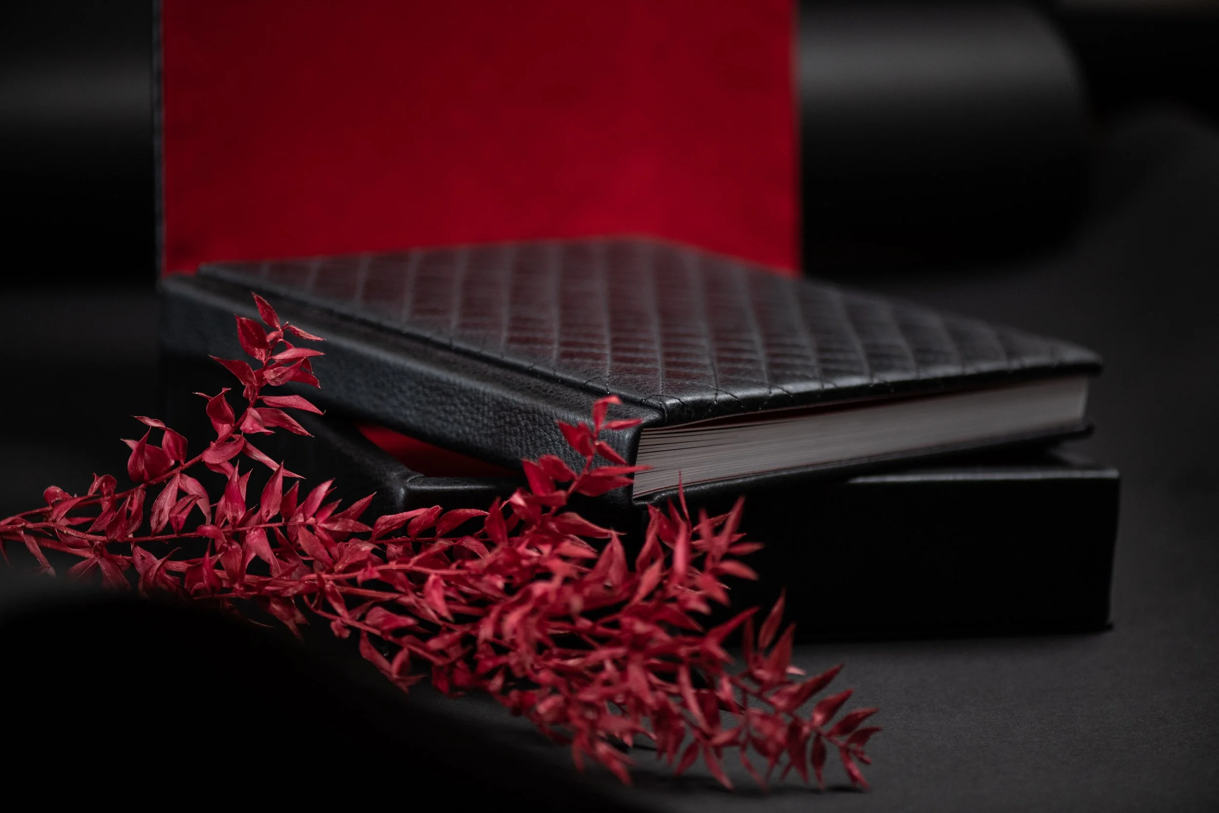 Boudoir Photography Training | Master the Art of Intimate Portraiture