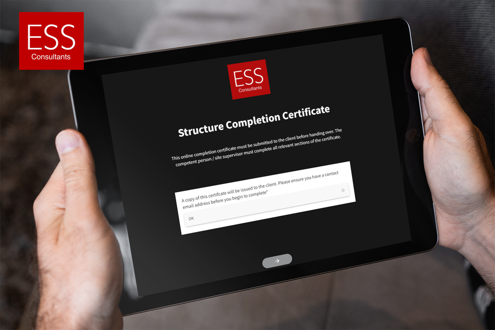 ESS Consultants Services — ESS Consultants