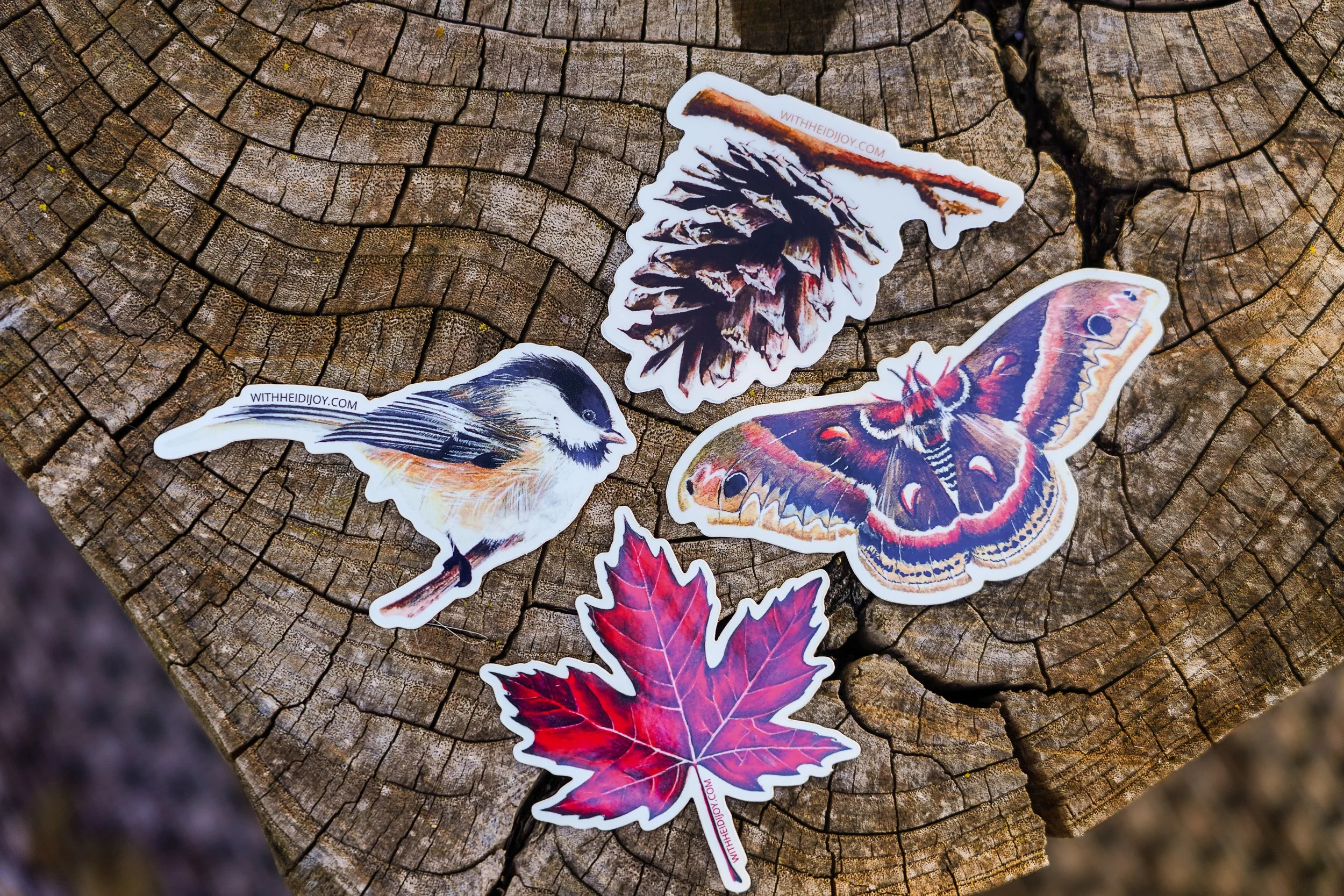 Shop | Shop Beautiful Nature Art — with Heidi Joy