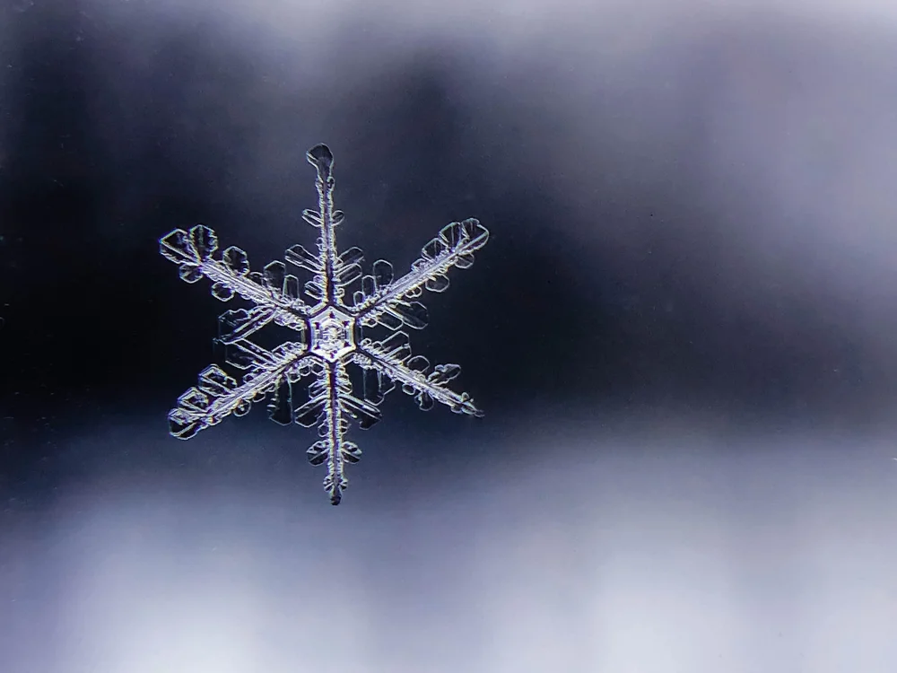 How to Photograph Snowflakes | A Beginner's Guide — with Heidi Joy