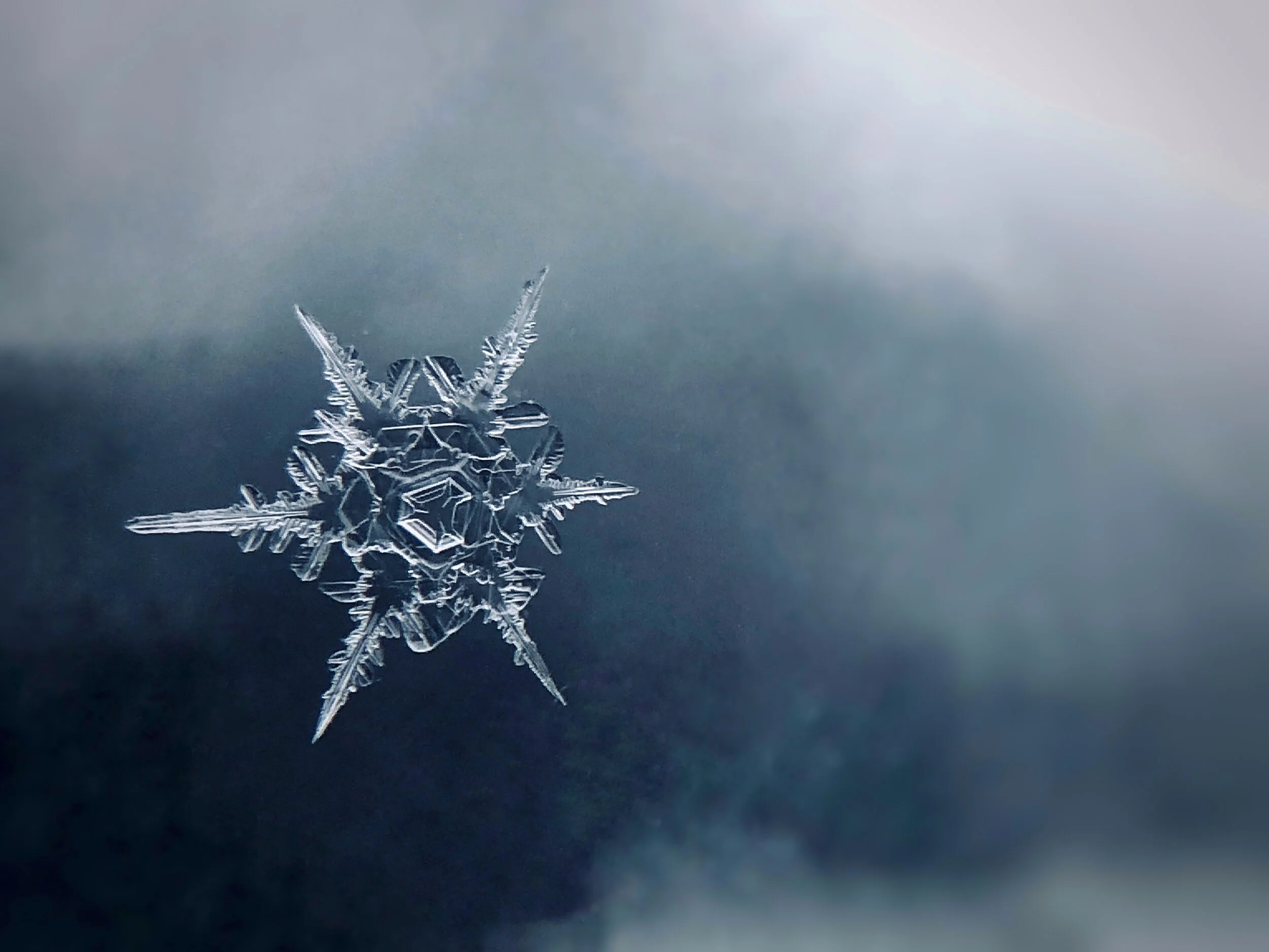 How to Photograph Snowflakes | A Beginner's Guide — with Heidi Joy