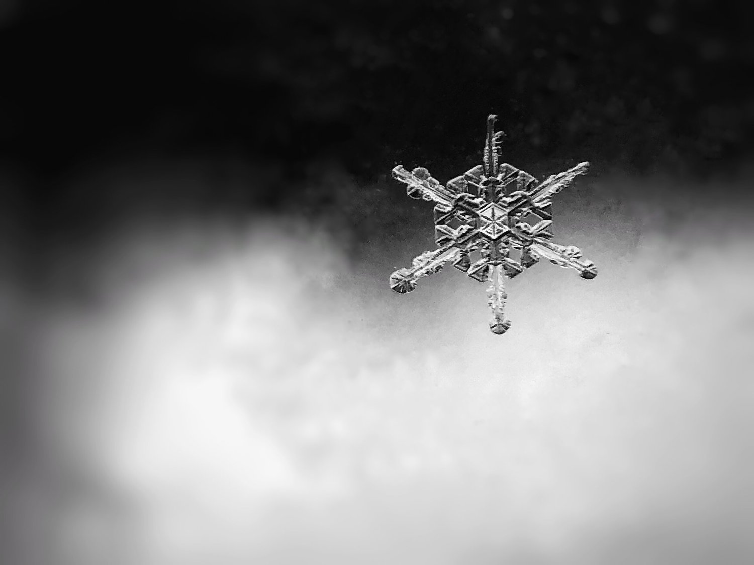 How to Photograph Snowflakes | A Beginner's Guide — with Heidi Joy