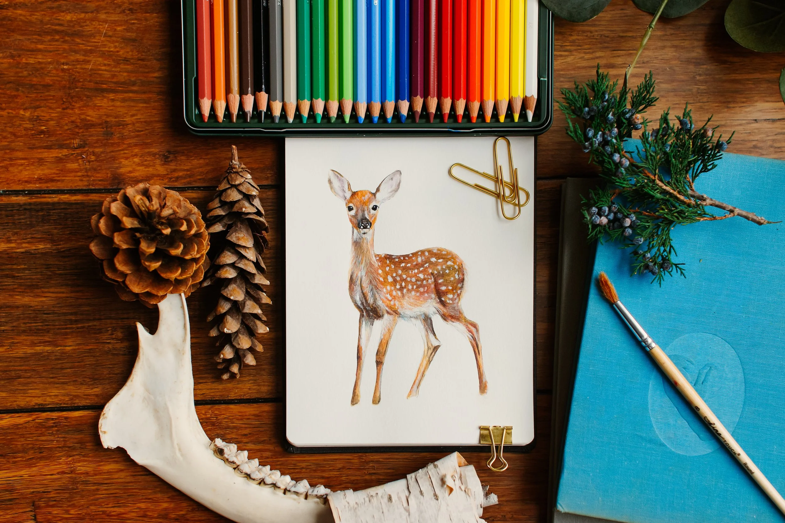 Bring the Outdoors In With Nature-Inspired Art Prints — with Heidi Joy